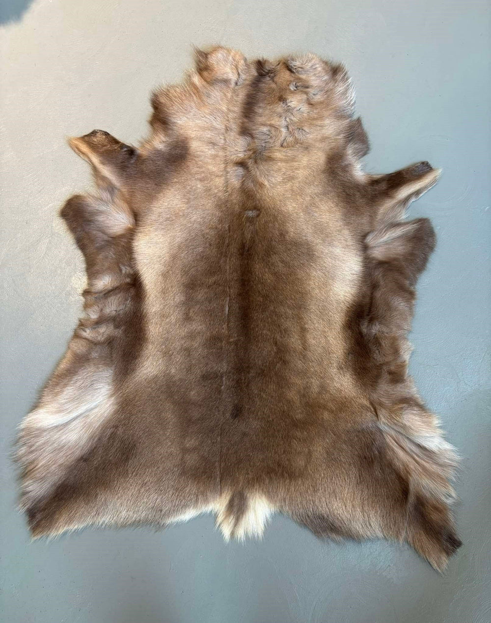 Nordic Reindeer Hide — Natural Markings | Icelandic Store