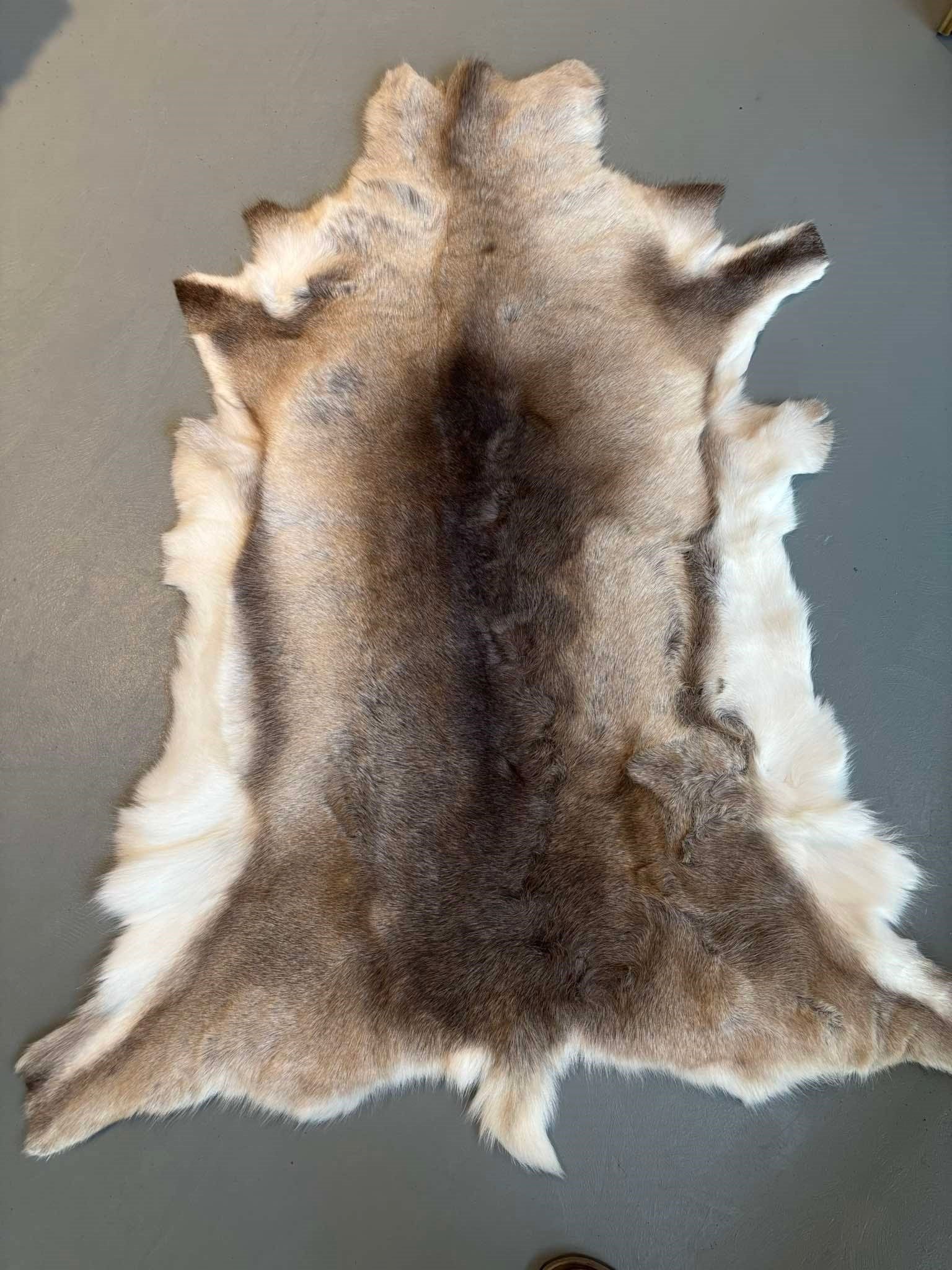 Nordic Reindeer Hide — Natural Markings | Icelandic Store